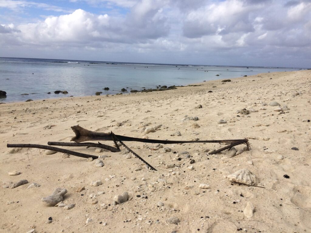 A Day In Paradise On Rarotonga, Cook Islands - SittingUnderAPalmTree